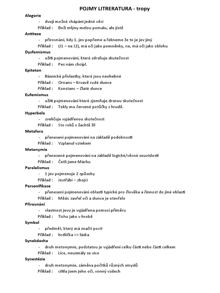Pojmy Litreratura | PDF