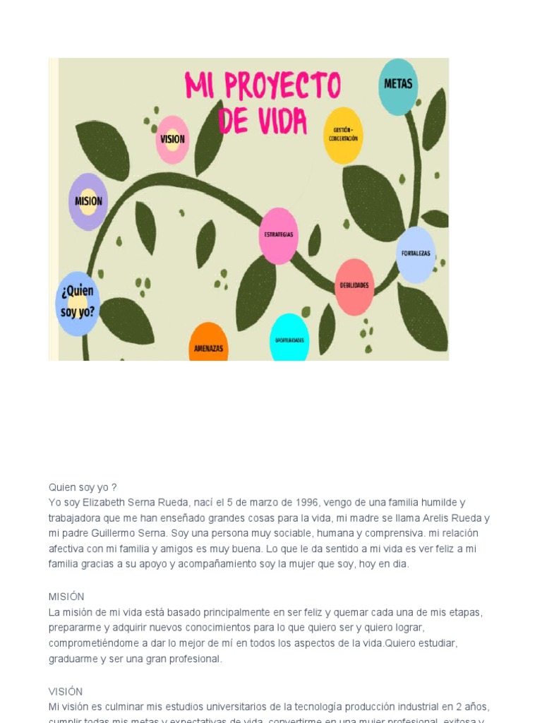 Proyecto de Vida | PDF | Estilo de vida