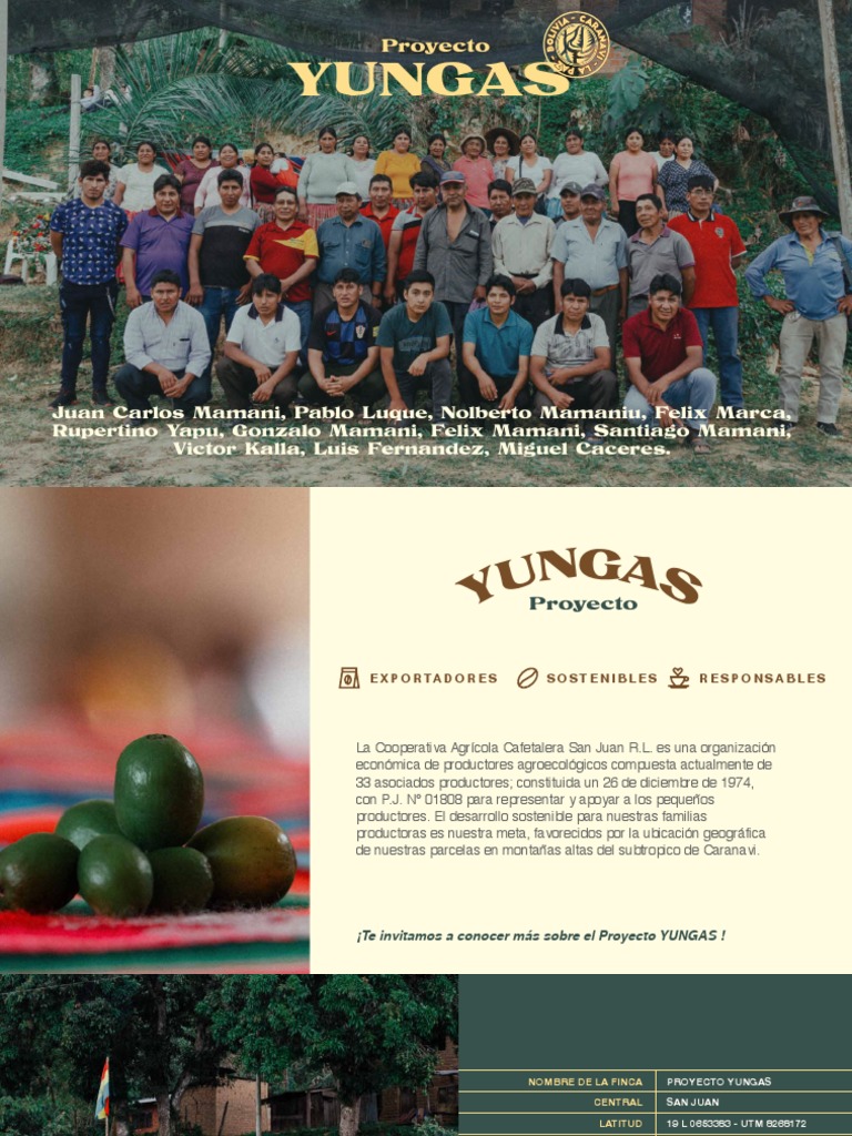 Yungas | PDF | café | Entorno natural