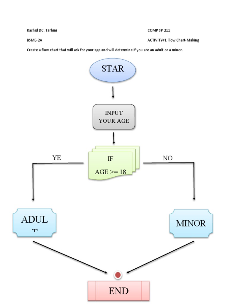 Activity # 1 Flow Chart-Making COM SP | PDF