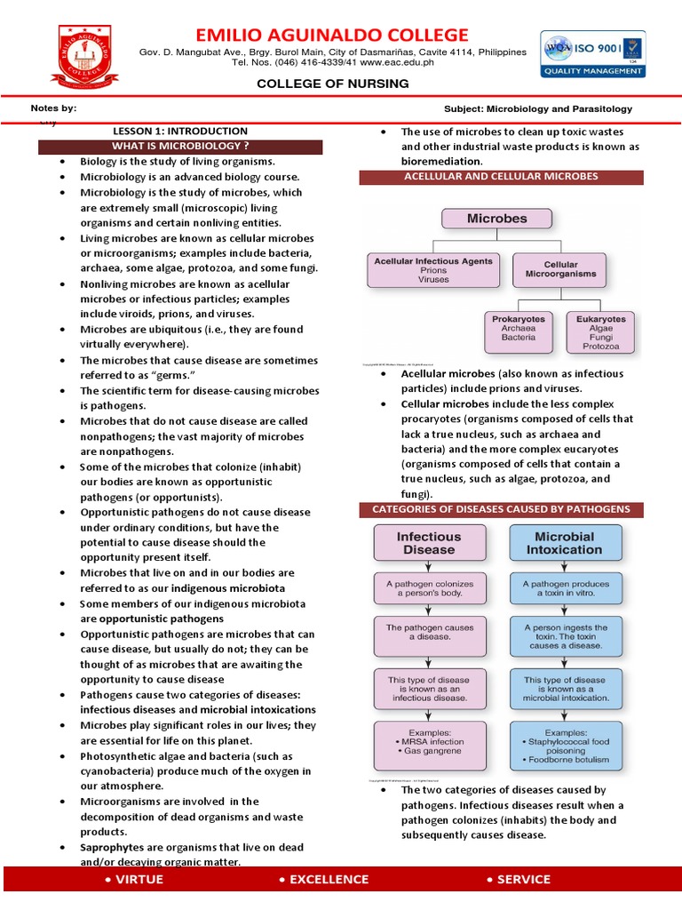 Micro para Notes | PDF | Cell (Biology) | Endoplasmic Reticulum