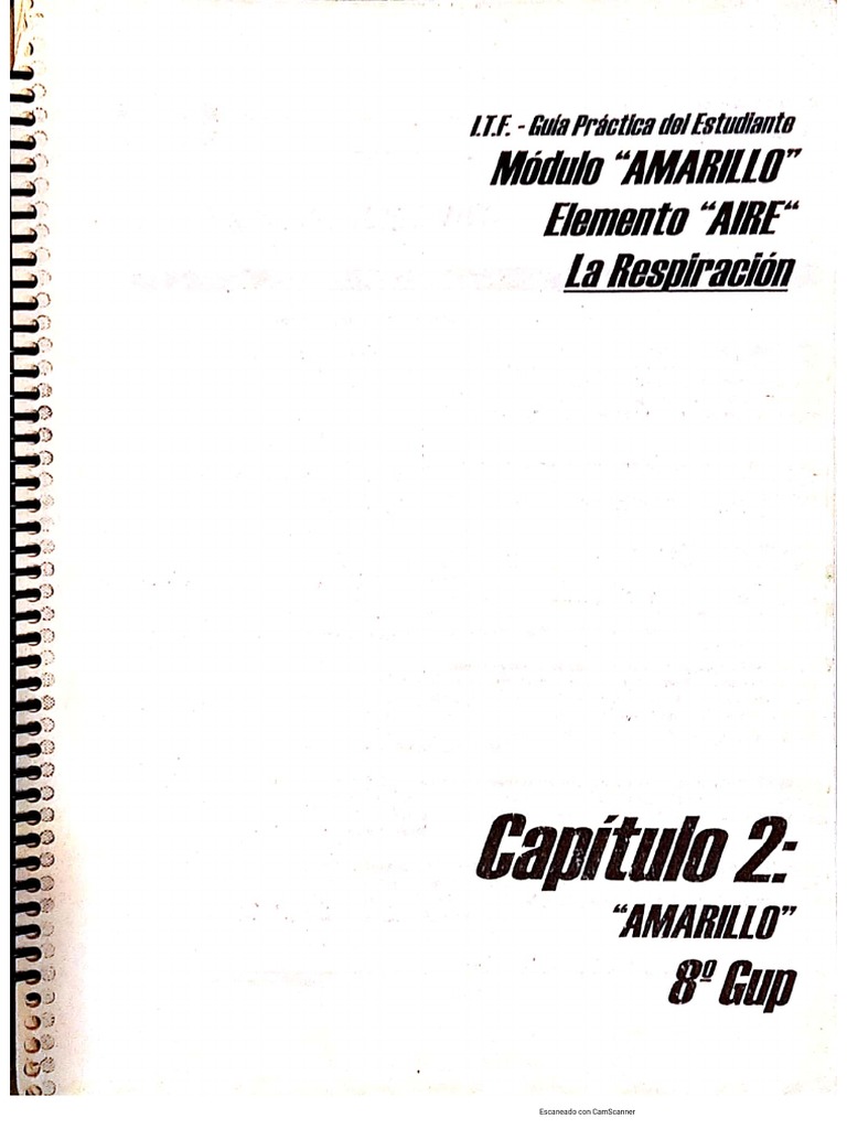 Apunte 2 Amarillo (Para Los Punta Amarilla) | PDF