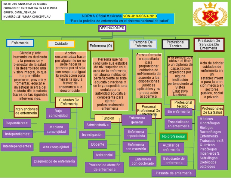 Nom-019 Enfermeria Mapa Conceptual | PDF | Enfermería | Servicios públicos
