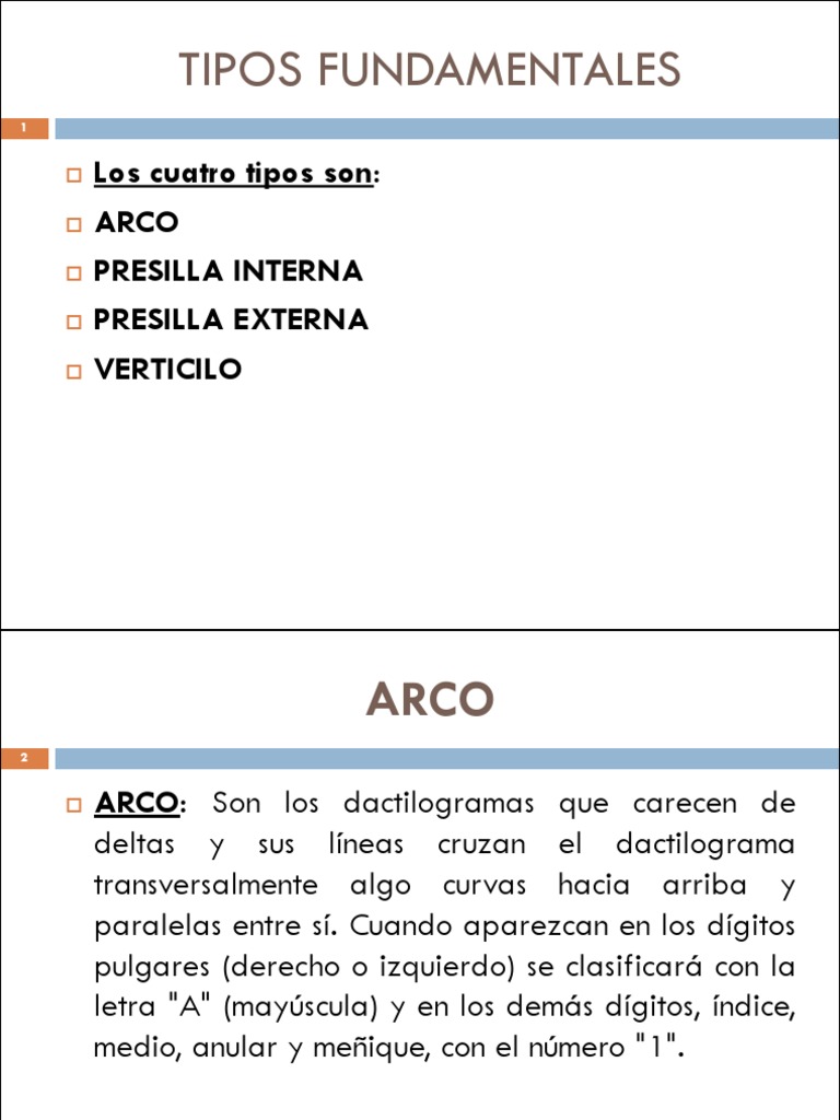 Dactiloscopia III. Toma de Huellas | PDF | Huella dactilar