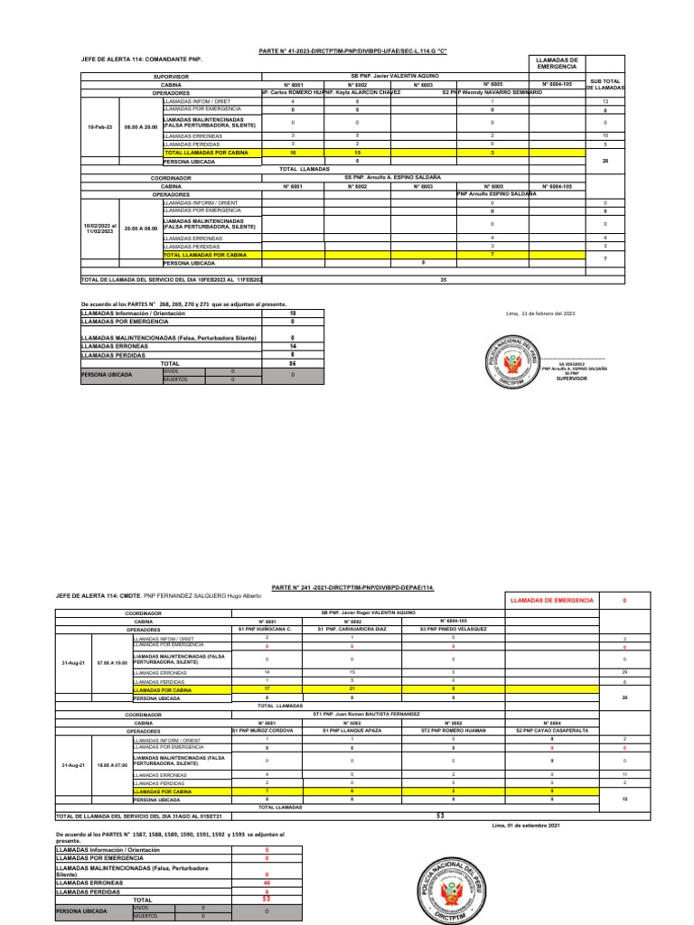 Informe de Llamadas del Servicio 114 | PDF