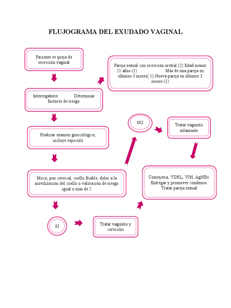 Procedimiento de Exudado Vaginal | PDF