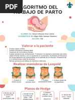 Maniobras de Asistencia Al Parto | PDF | Pelvis | Parto