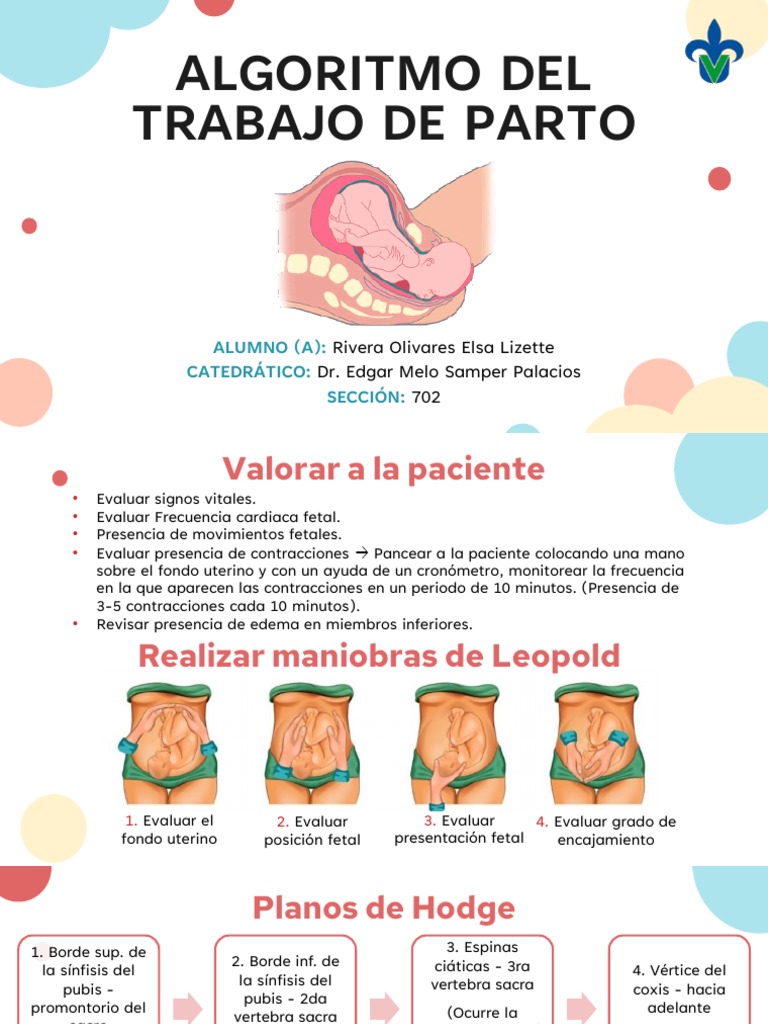 Elsa Rivera Algoritmo Del Trabajo de Parto | PDF | Parto | Placenta