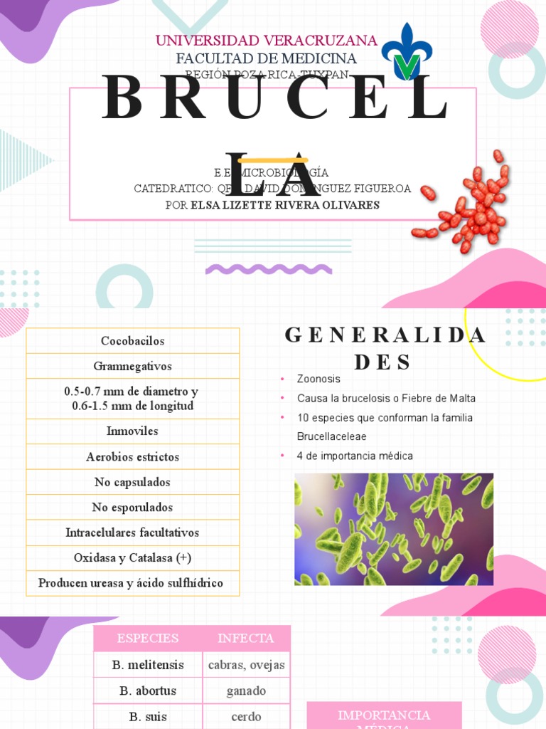 Brucella (Brucelosis) | PDF | Causas de la muerte | Epidemiología