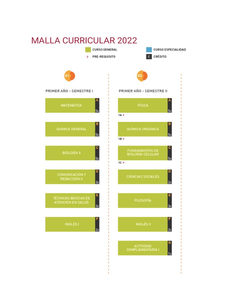 Malla Curricular Cayetano | PDF
