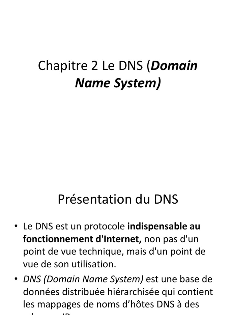 Chapitre 3 - DNS | PDF | Système de noms de domaines | Nom de domaine