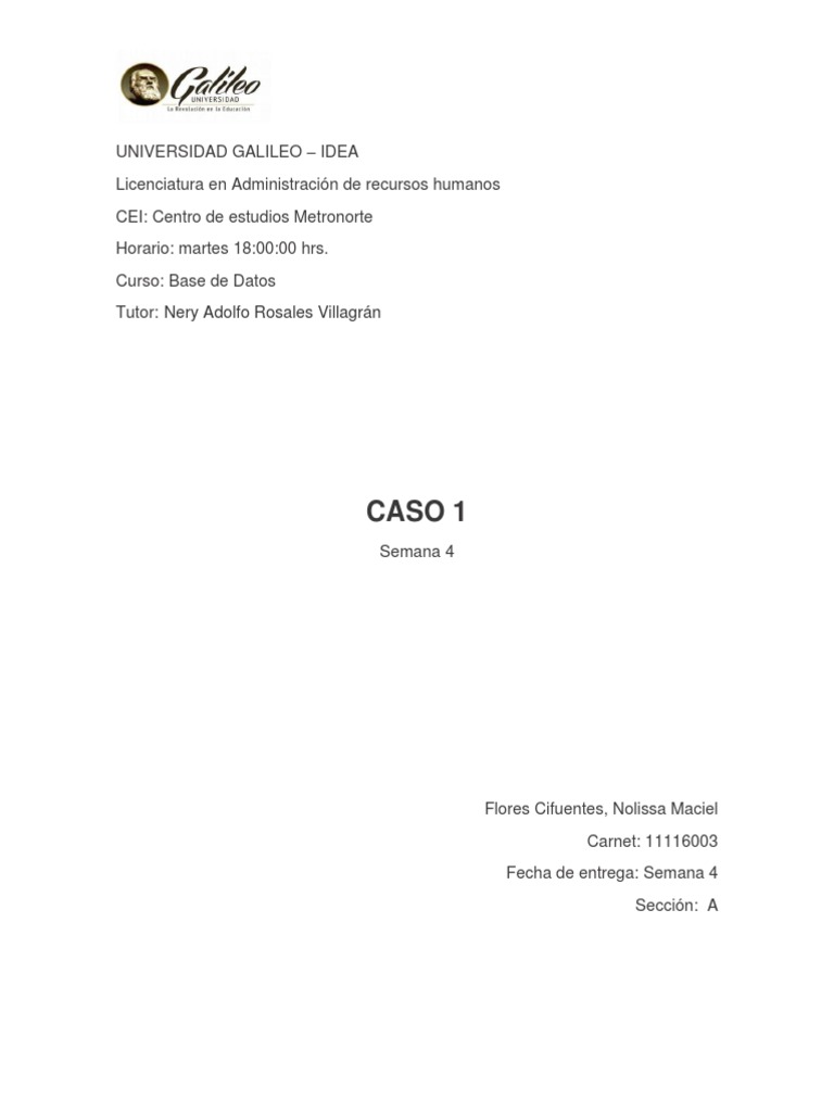 Caso 1 Base de Datos | PDF
