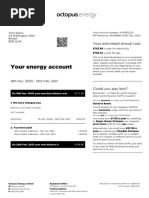 Octopus Energy Bill and Payment Details | PDF
