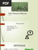 Sistemas de Roza y Quema en Agricultura | PDF | Los bosques | Agricultura