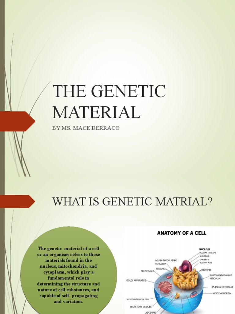 8 - Genetic Material | PDF | Dna | Rna