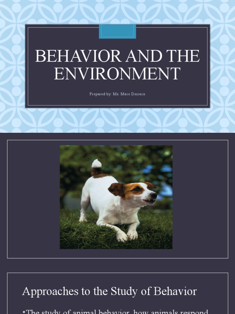 16-Behavior and The Environment | PDF | Instinct | Learning