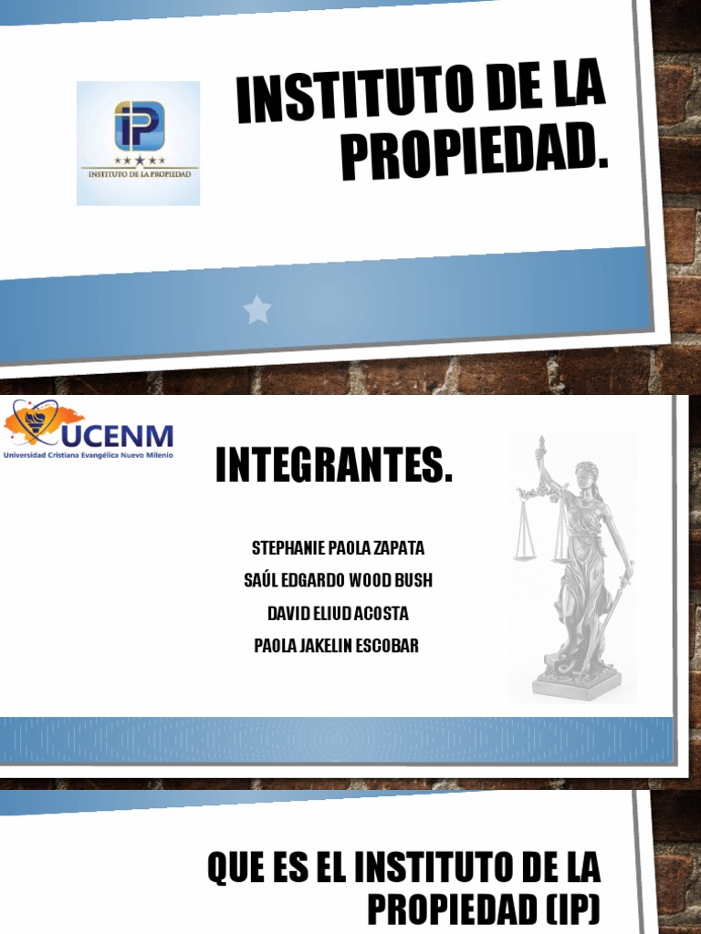Instituto de La Propiedad | PDF