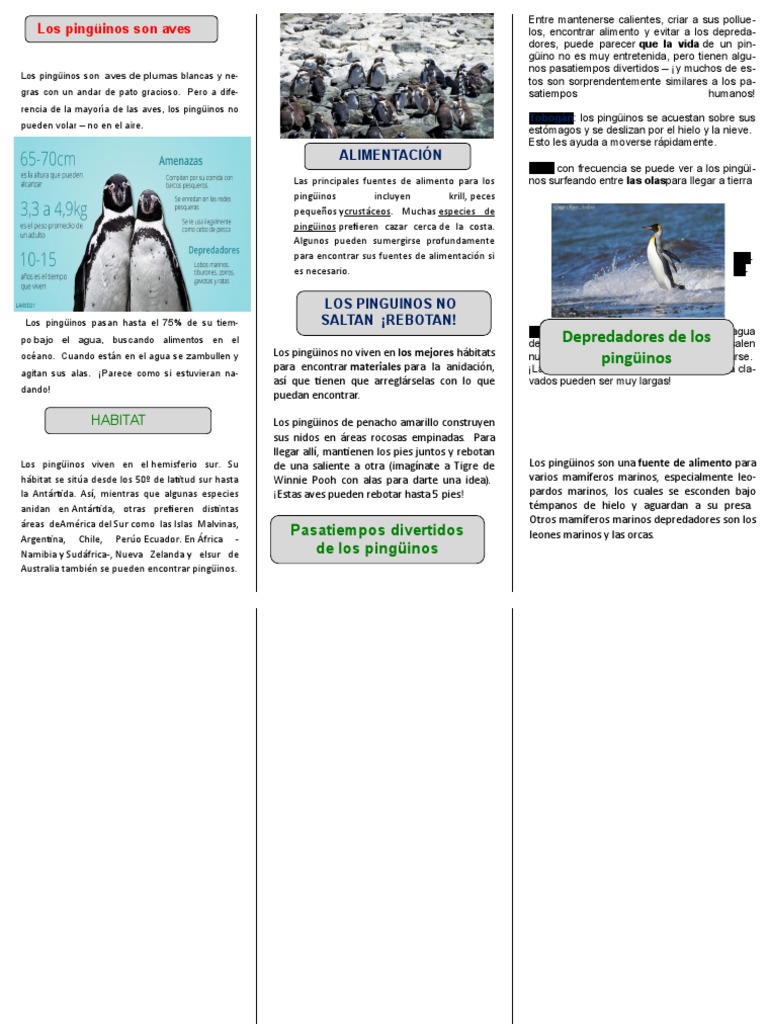Triptico-Los Pinguinos-Ii-Parte-Ii | PDF | Pingüino | Aves