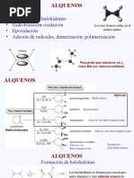 Sintesis Trioleina Completa | PDF