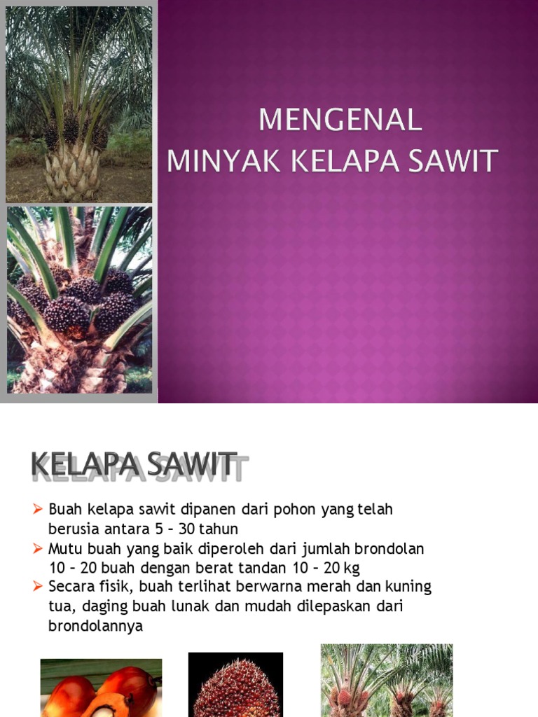 005 Proses Pengolahan Kelapa Sawit | PDF
