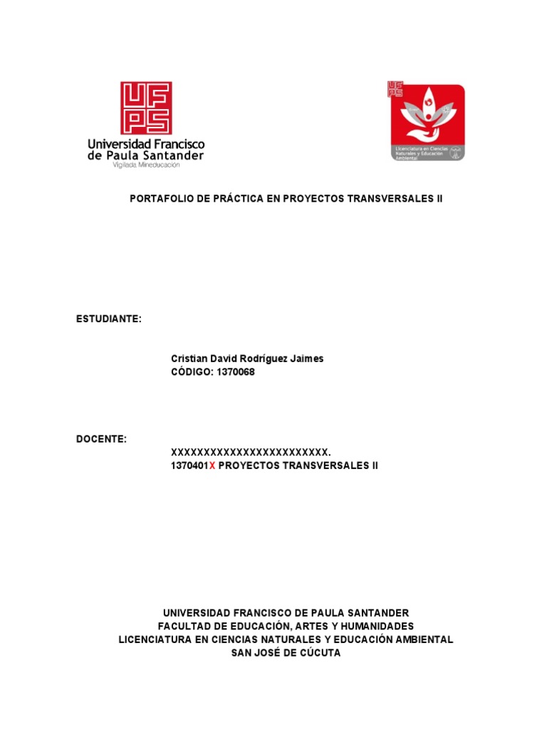 Formato Portafolio Práctica Proyectos Transversales en Educación II | PDF | Enseñando | Aprendizaje