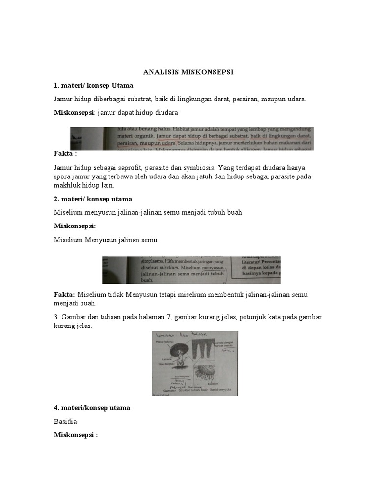 Analisis Miskonsepsi | PDF