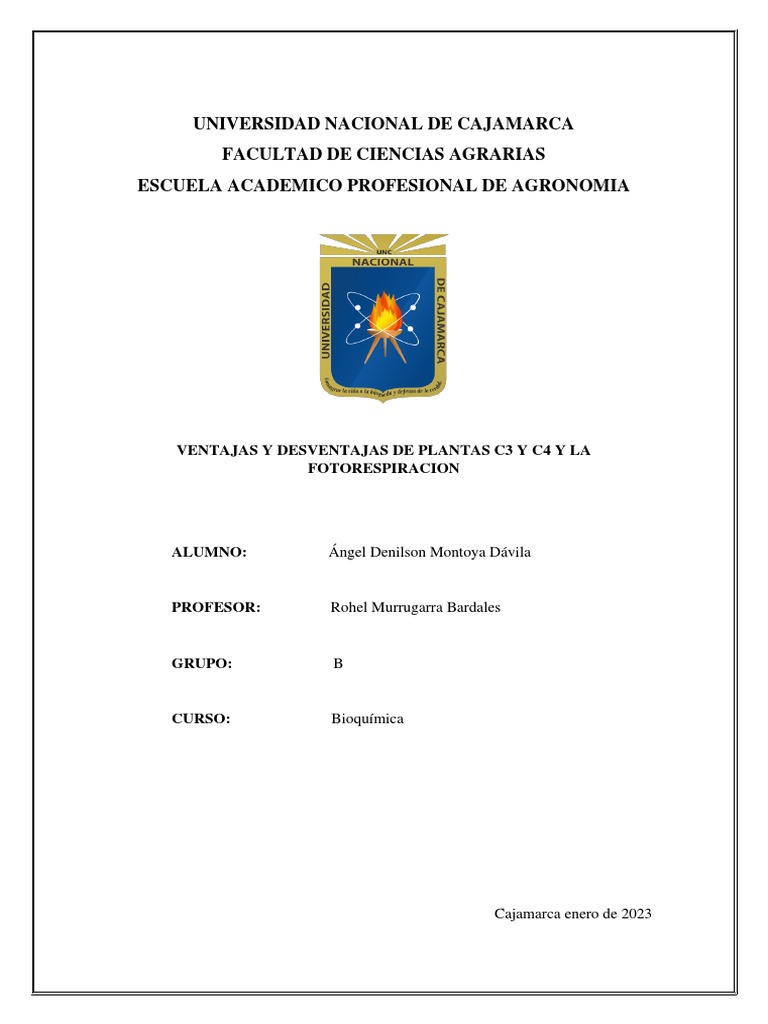 Plantas C3 y C4 | PDF | Fotosíntesis | Química