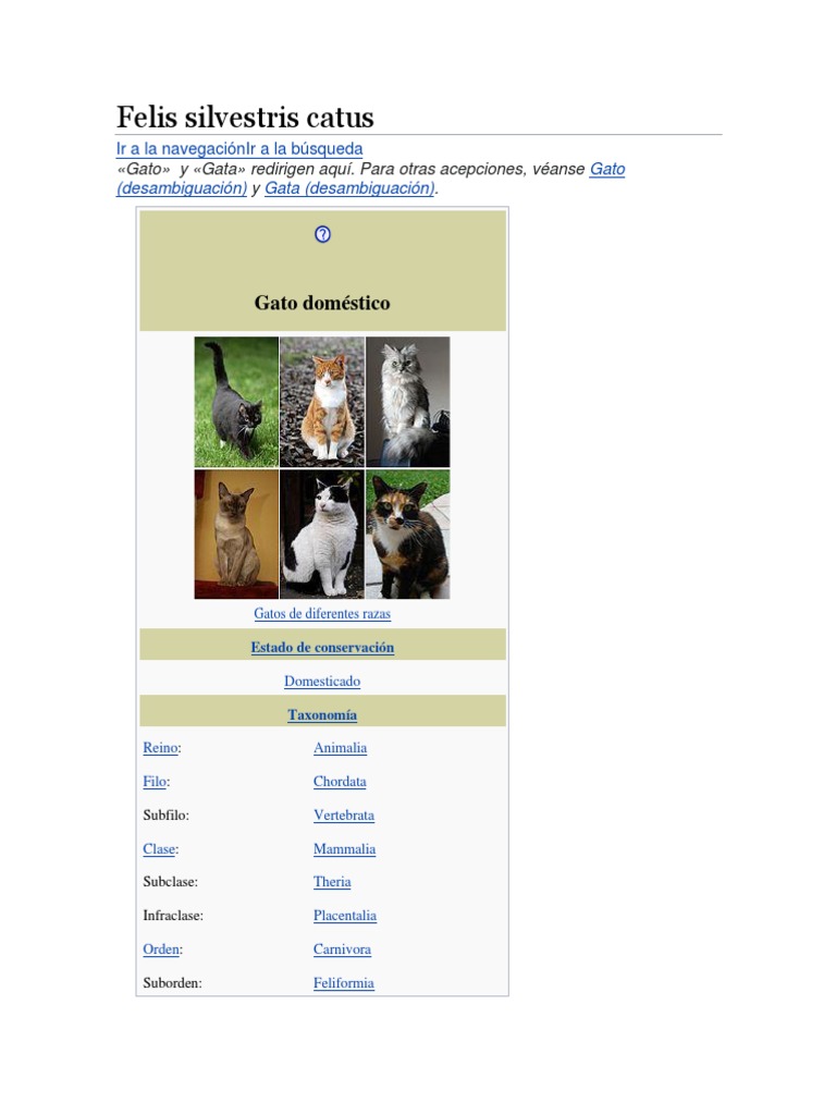 Felis Silvestris Catus | PDF | Gatos | Percepción visual