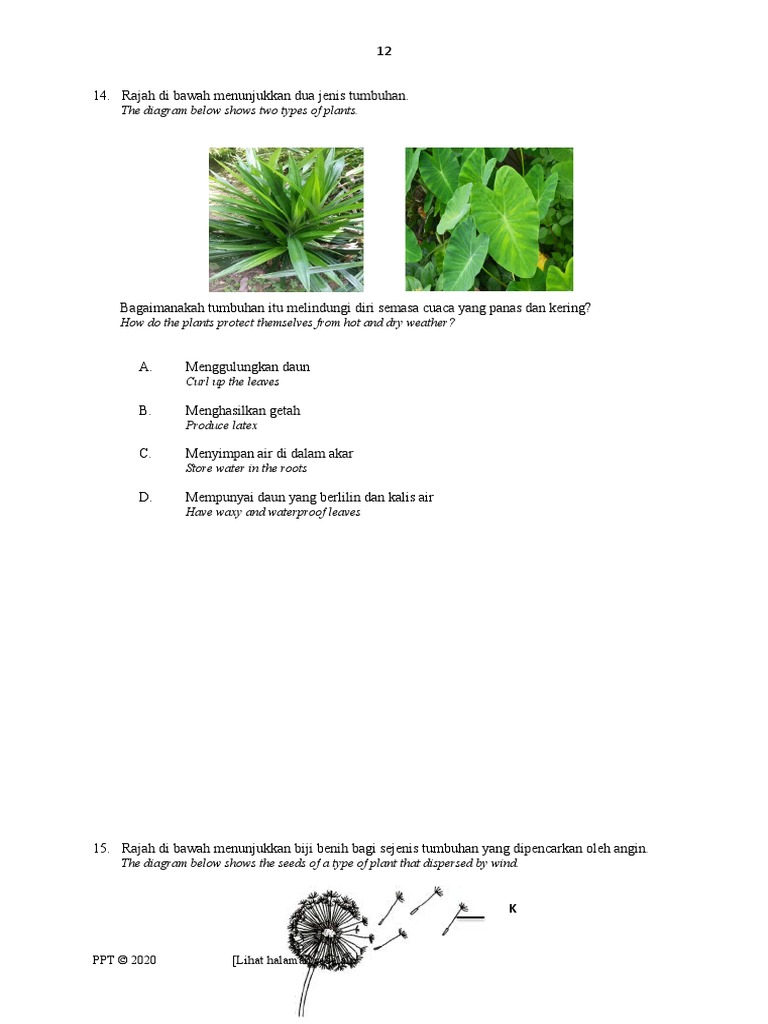 Soalan PPT 2020 - Sains T5 K1 (DLP) Part B | PDF