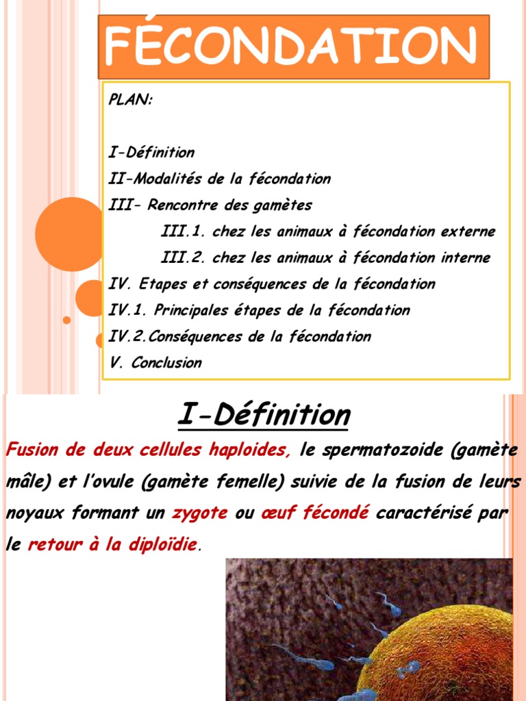 Étapes et Conséquences de la Fécondation | PDF | Fécondation | Membrane ...