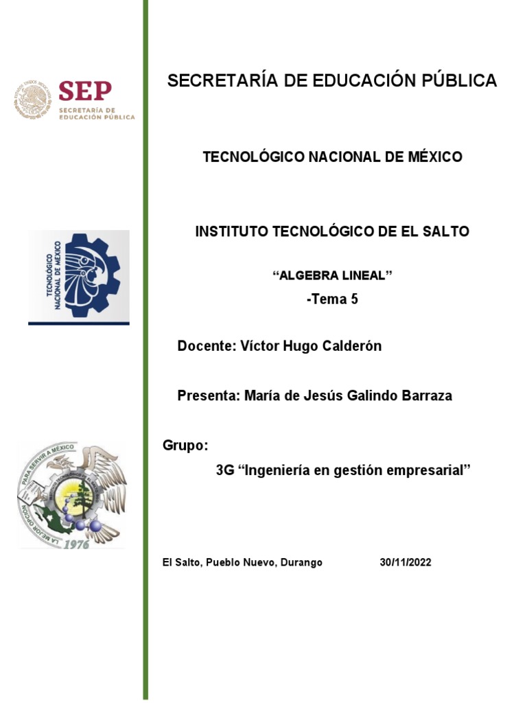 Algebra Lineal | PDF | Espacio vectorial | Mapa lineal Algebra Lineal | PDF | Espacio vectorial | Mapa lineal
