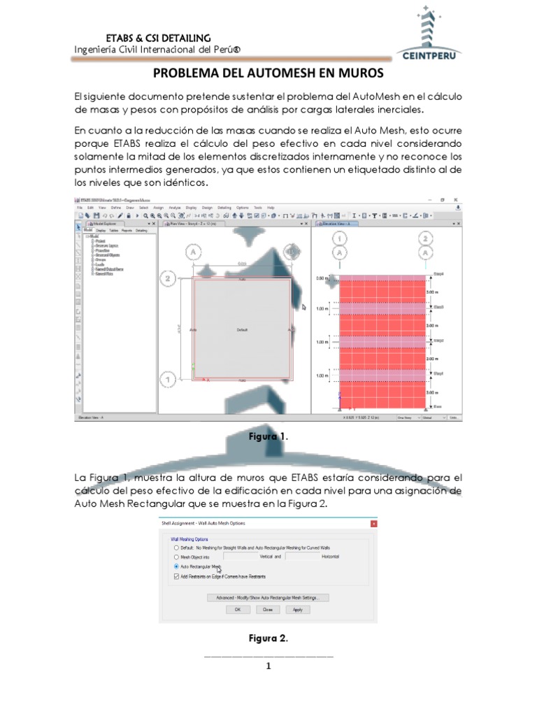 PROBLEMA-DEL-AUTOMESH | PDF