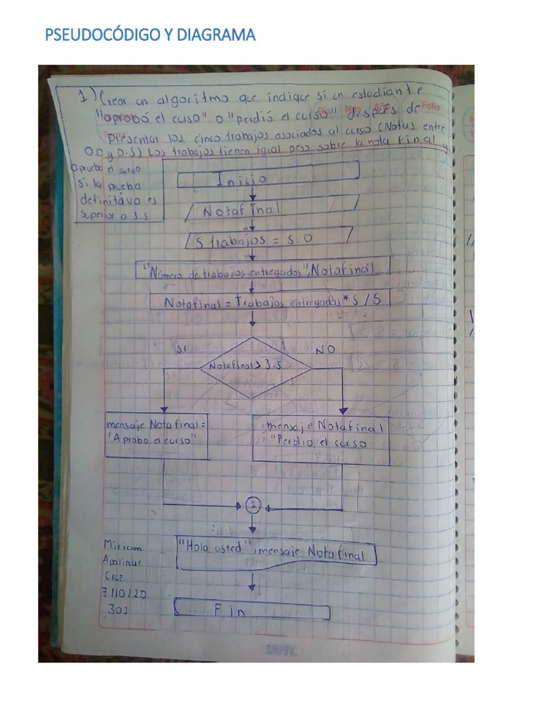 Pseudocódigo y Diagrama | PDF