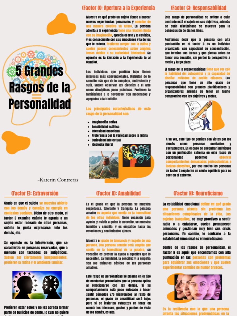 Rasgos de La Personalidad | PDF | Experiencia | Cognición