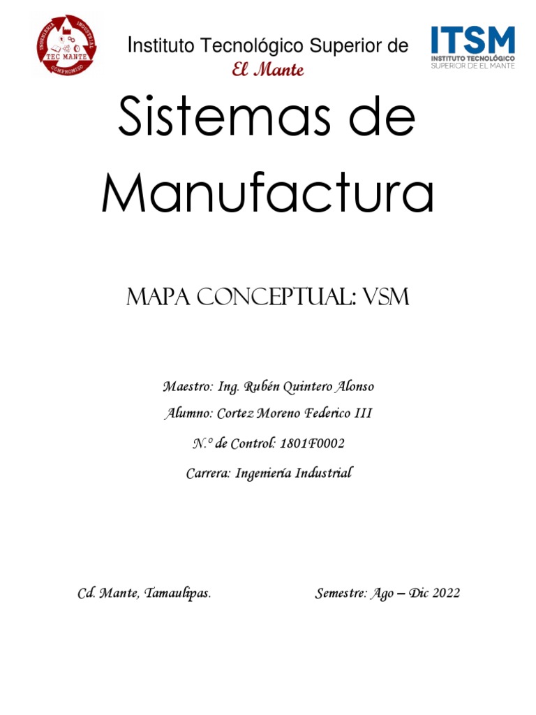 Mapa Conceptual VSM | PDF