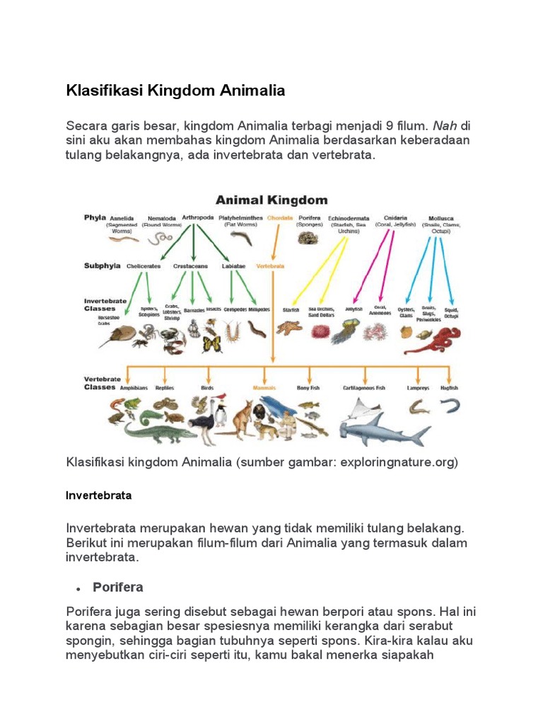 Klasifikasi Kingdom Animalia dan Filumnya | PDF