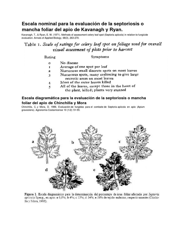 Evaluación de Septoriosis en Apio | PDF | Ciencia y matemáticas