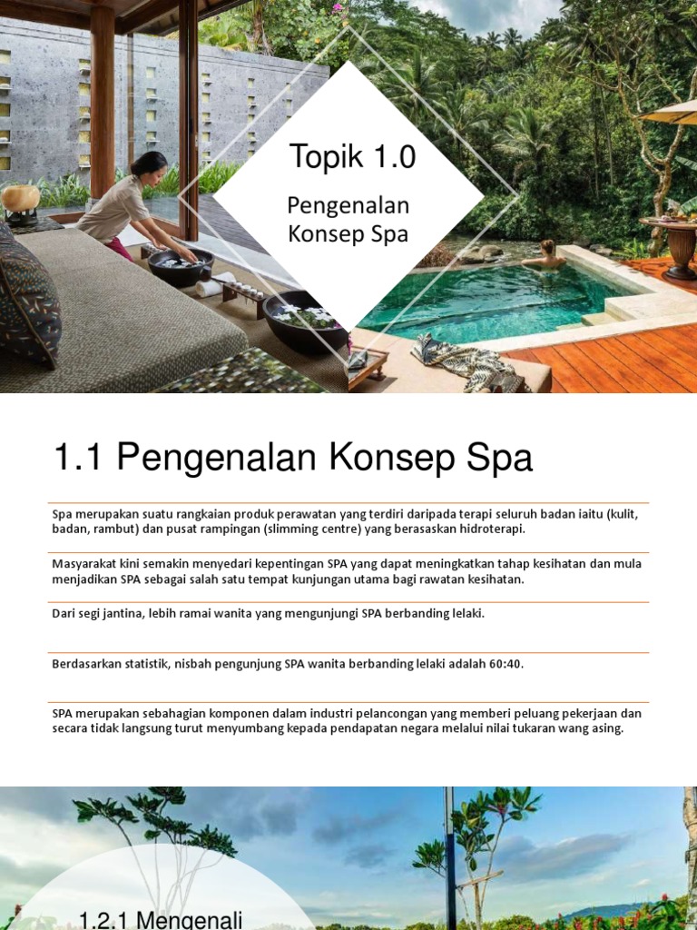 Intraduction To Spa Concept | PDF