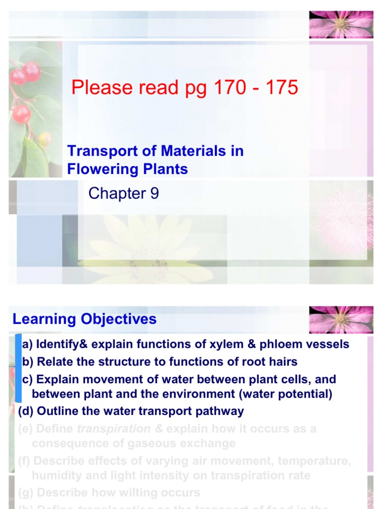 Transport of Materials in Flowering Plants + Trans Location | PDF ...