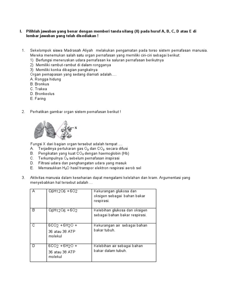 Bank Soal Pat Bio Xi Mipa 21-22 Kkma Ska | PDF