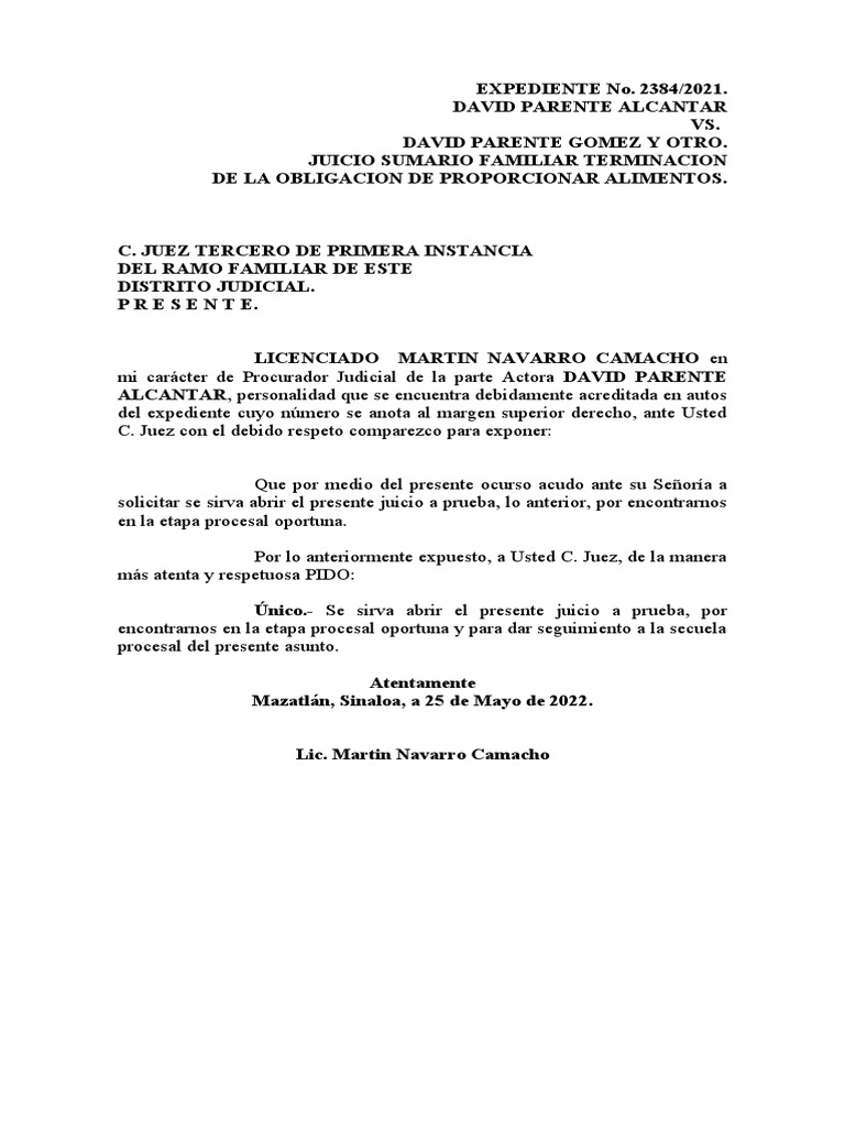 Abrir El Juicio A Prueba Asunto David Parente | PDF