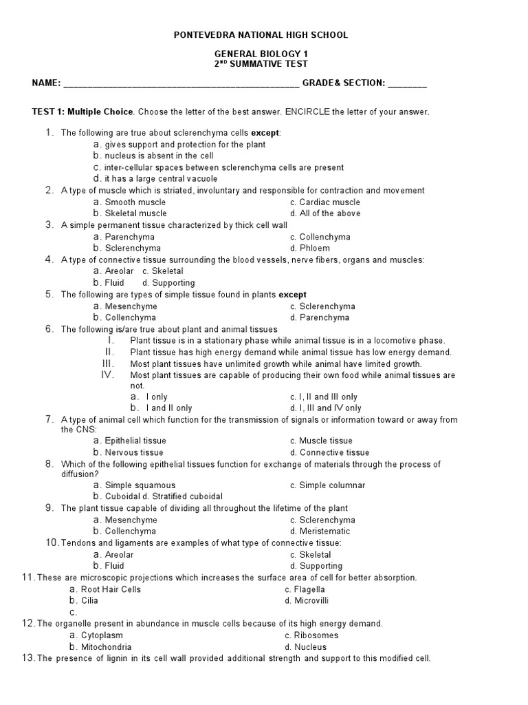 Biology Test on Tissues and Cells | PDF | Tissue (Biology) | Cell (Biology)