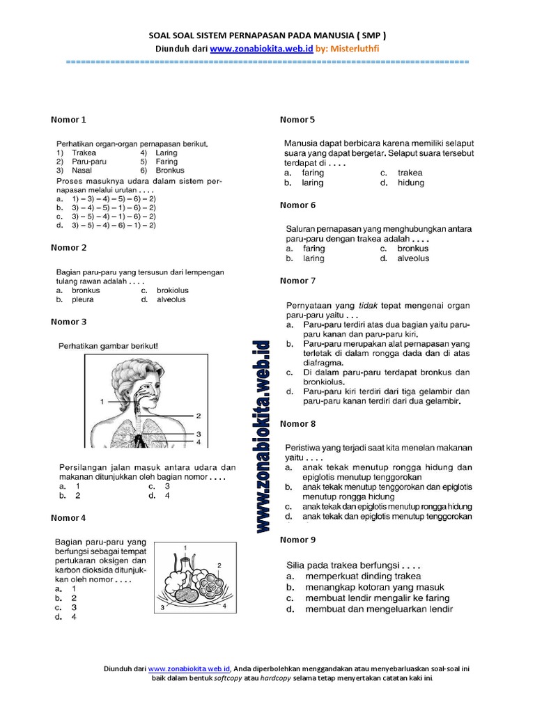 Latihan Soal Pernapasan Kelas 8 | PDF Latihan Soal Pernapasan Kelas 8 | PDF