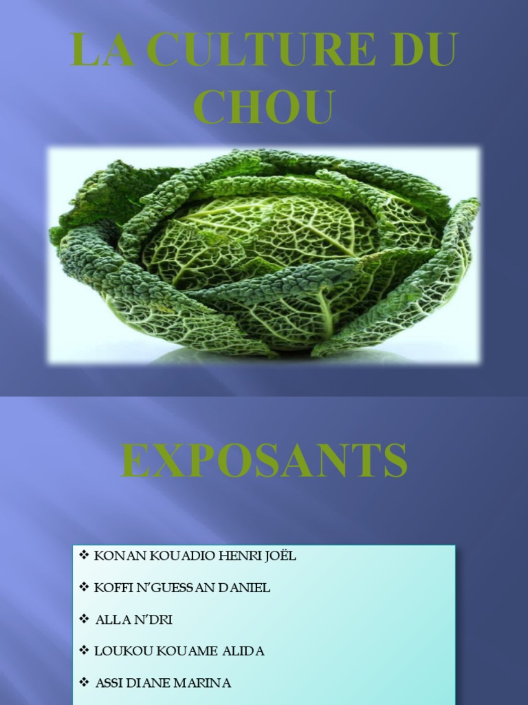 La Culture Du Chou 2 | PDF | Fumier | Organismes