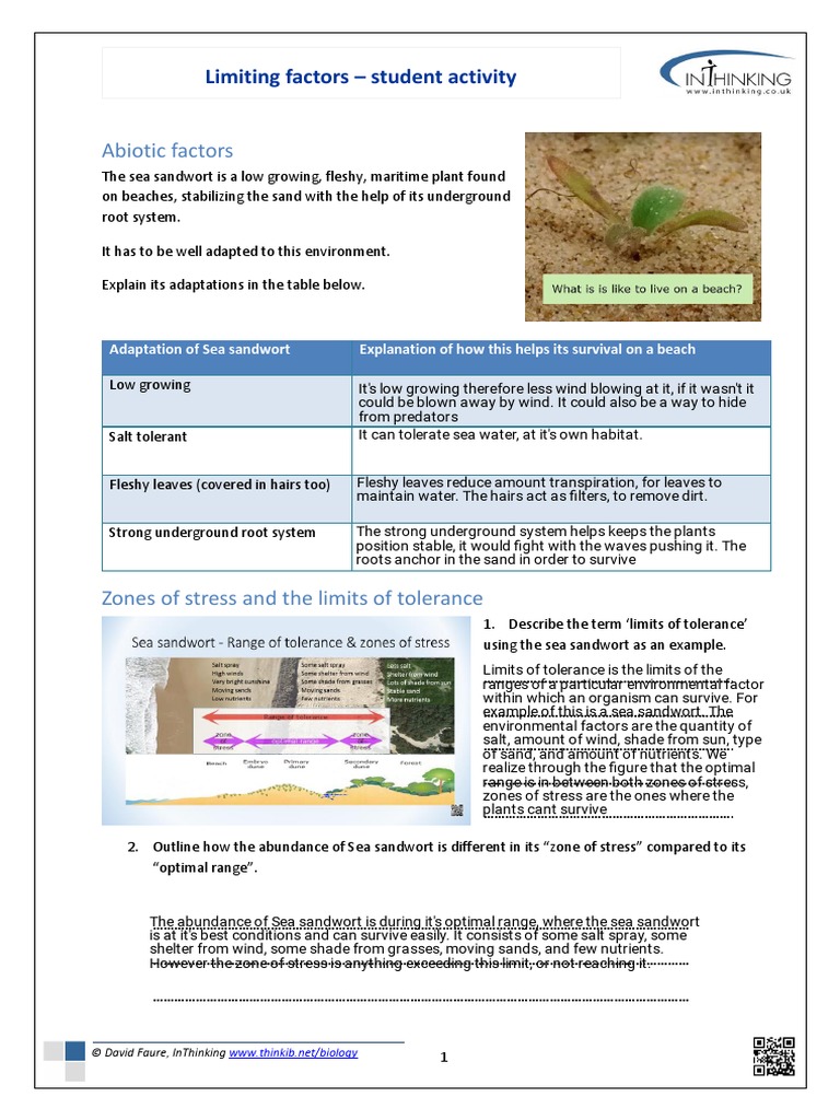 Kami Export - Nada Albuainain - Limiting - Factors - Activity - Ws ...