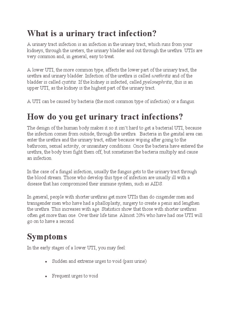 What Is A Urinary Tract Infection | PDF | Urinary Tract Infection ...