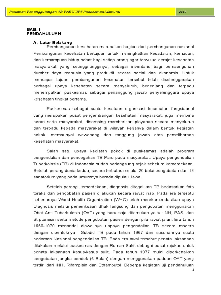 Pedoman TB Momunu 2019 | PDF | Pengembangan Diri | Kesehatan Holistik