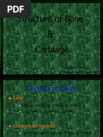 Medical Terminology List 350 Terms | PDF | Anatomy | Human Anatomy