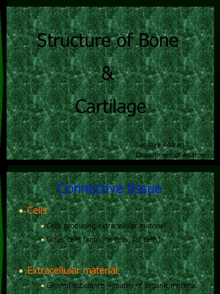 Bone and Cartilage Structure Overview | PDF | Bone | Cartilage