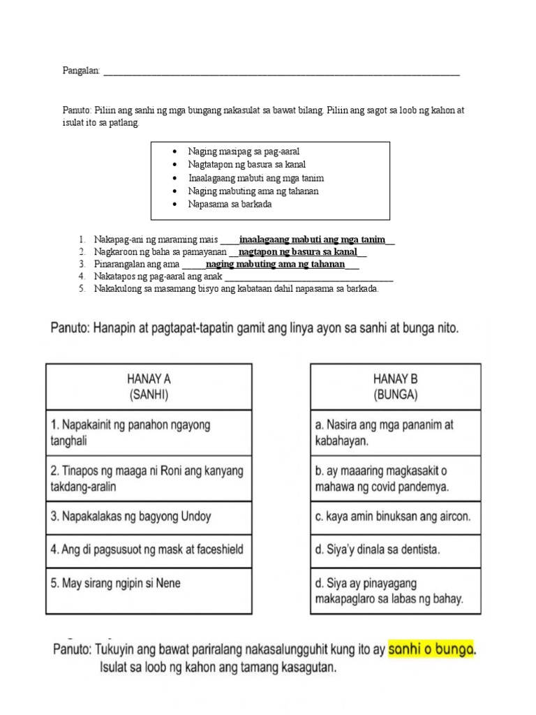 Sanhi at Bunga | PDF